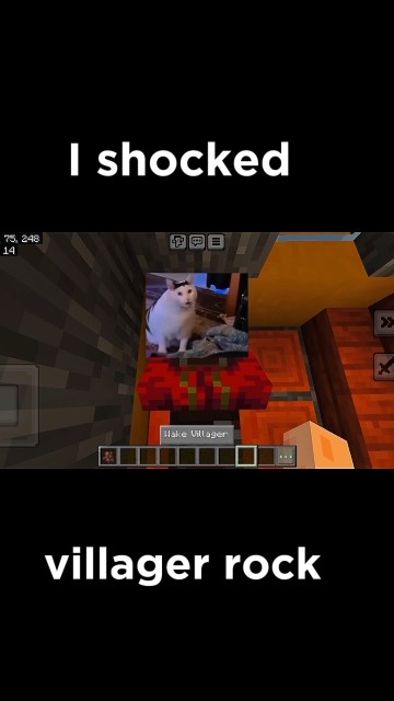 I shocked villager rock #gaming #minecraft #minecraftfunnyandsadstory # ...