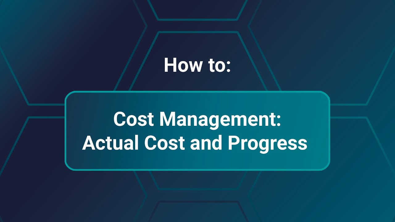 Omega 365 How to: Cost Management - Actual cost and progress - YouTube