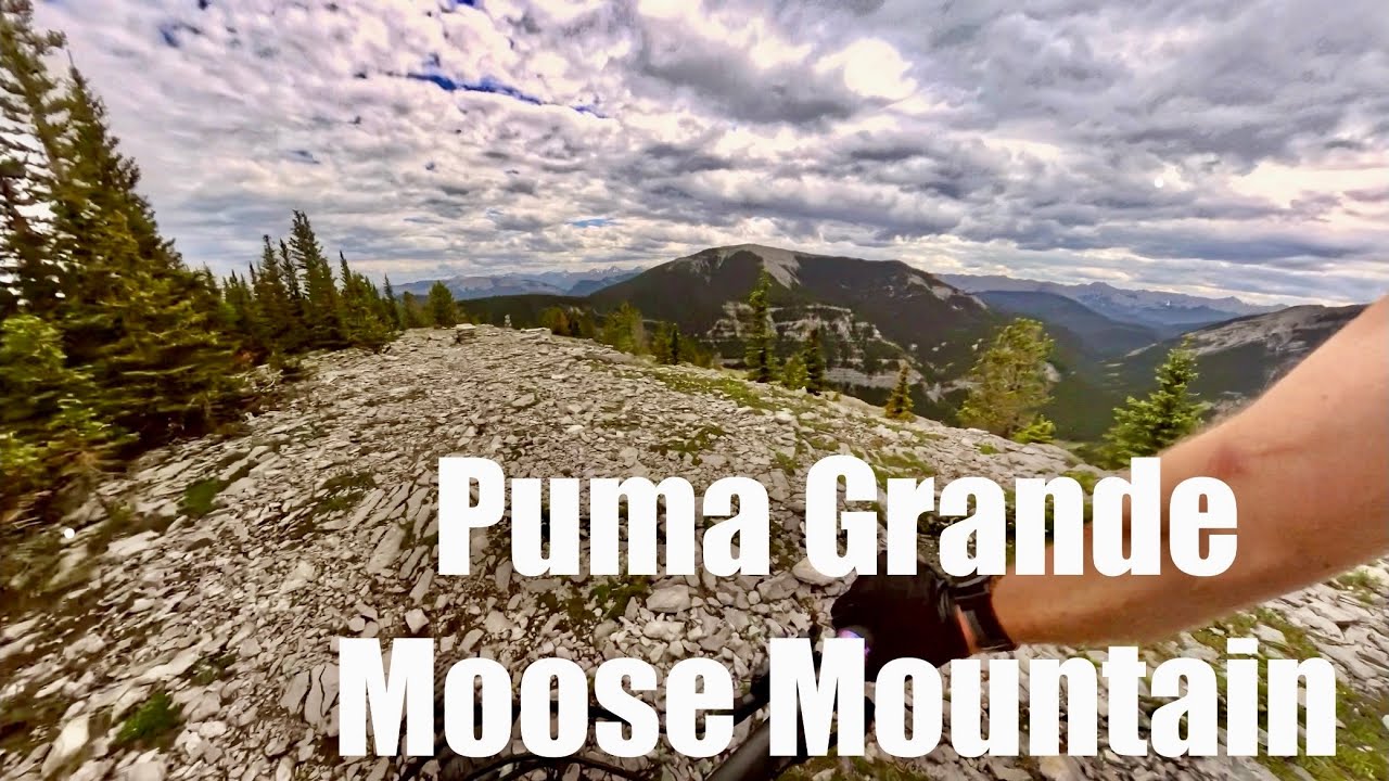 Puma Grande, Moose Mountain - YouTube