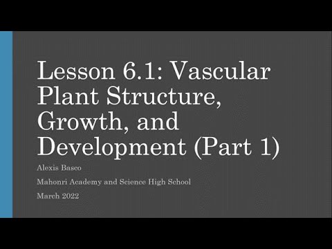 GenBio2 Lesson 6.1: Vascular Plant Structure, Growth, and Development ...