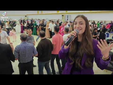 heves müzik Bitlis  Hozan maşallah 05352951808