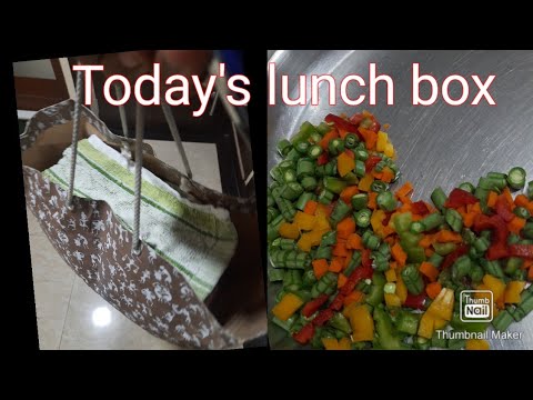 Today's Lunch Box | Nov 23rd 2022 | Steel cut Oats Veg Upma | Moringa ...