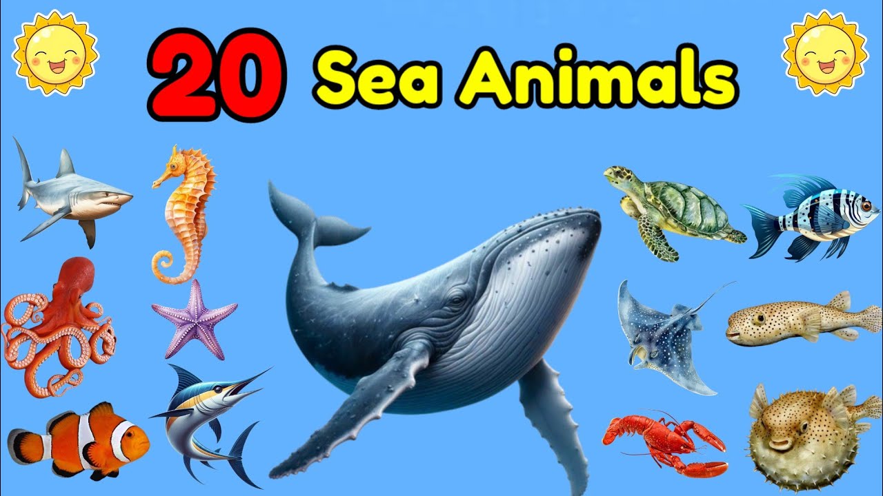 Let’s Dive and Learn 20 Amazing Sea Creatures! 🐠🌊 | Fun Ocean Animals ...