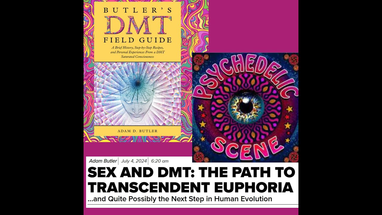 Sex and DMT: The Path to Transcendent Euphoria...and Quite Possibly the Next Step in Human ...