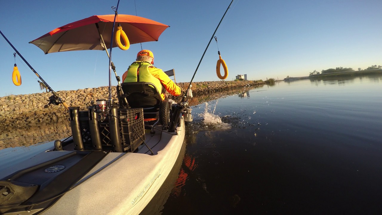 Bass Fishing in the California Delta - YouTube