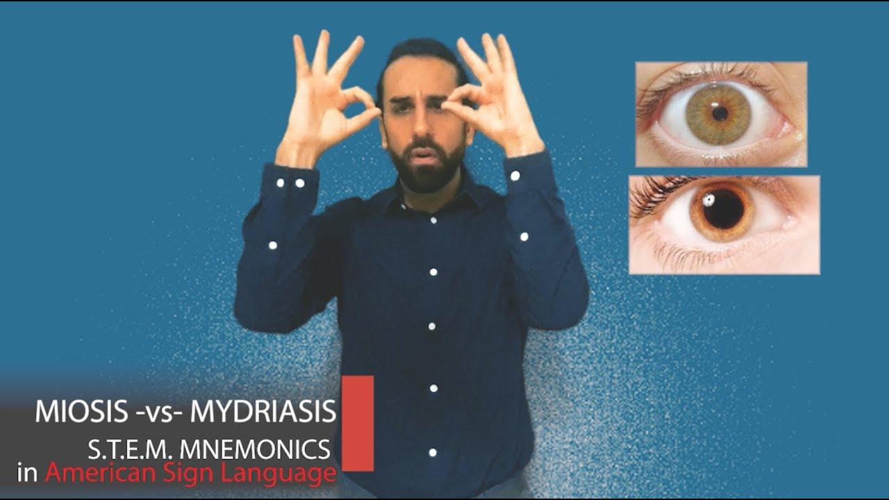 Miosis And Mydriasis