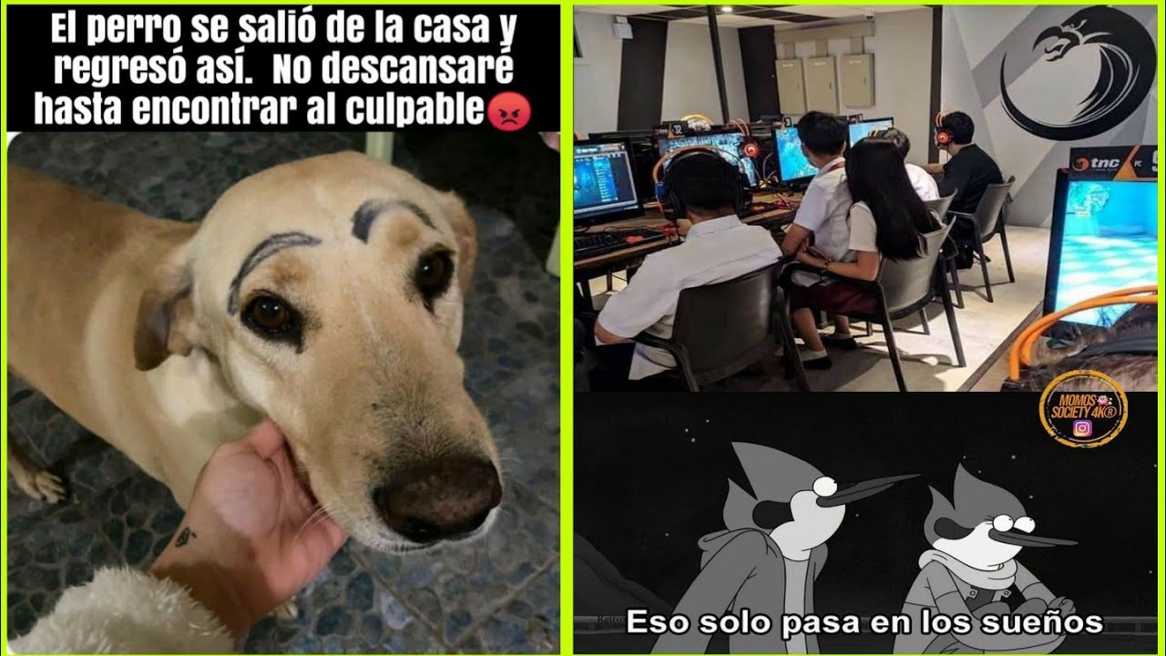 Los Memes Mas Locos Y Divertidos #21 | Memes Random | Memes Graciosos ...