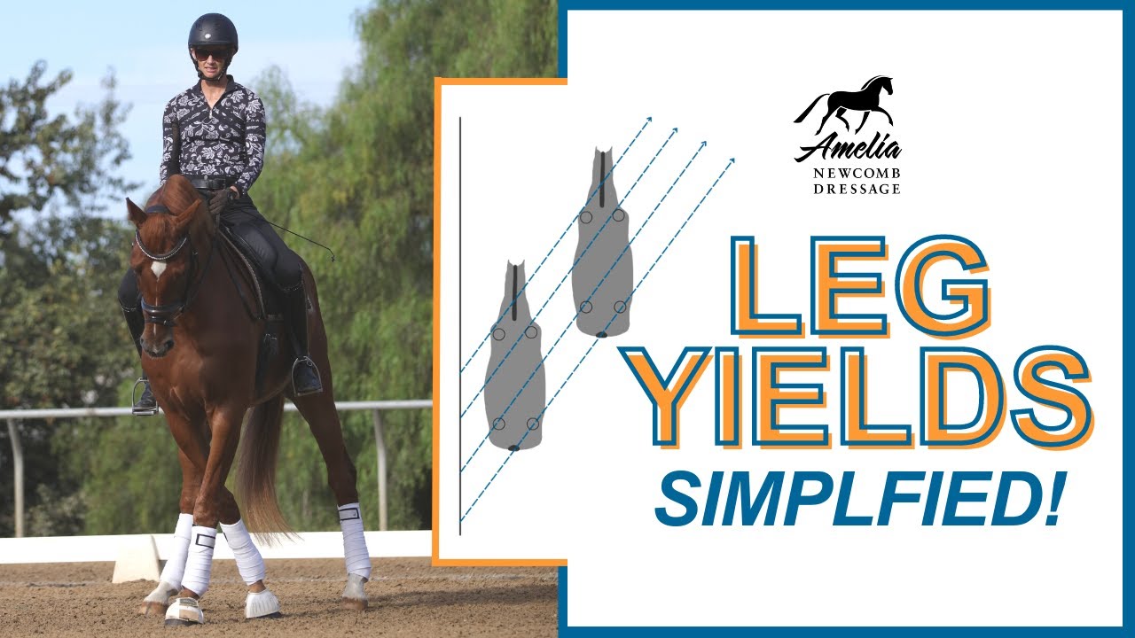 The Benefits of Walk Leg-Yields - YouTube