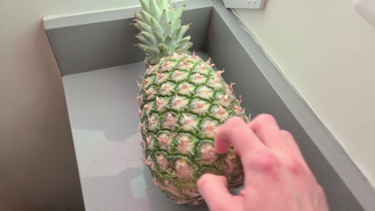 ASMR - Plant sounds and hand movements - YouTube