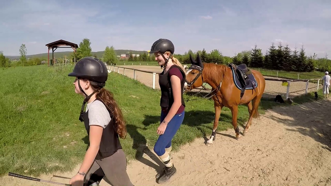 Horse - Training and riding school - YouTube