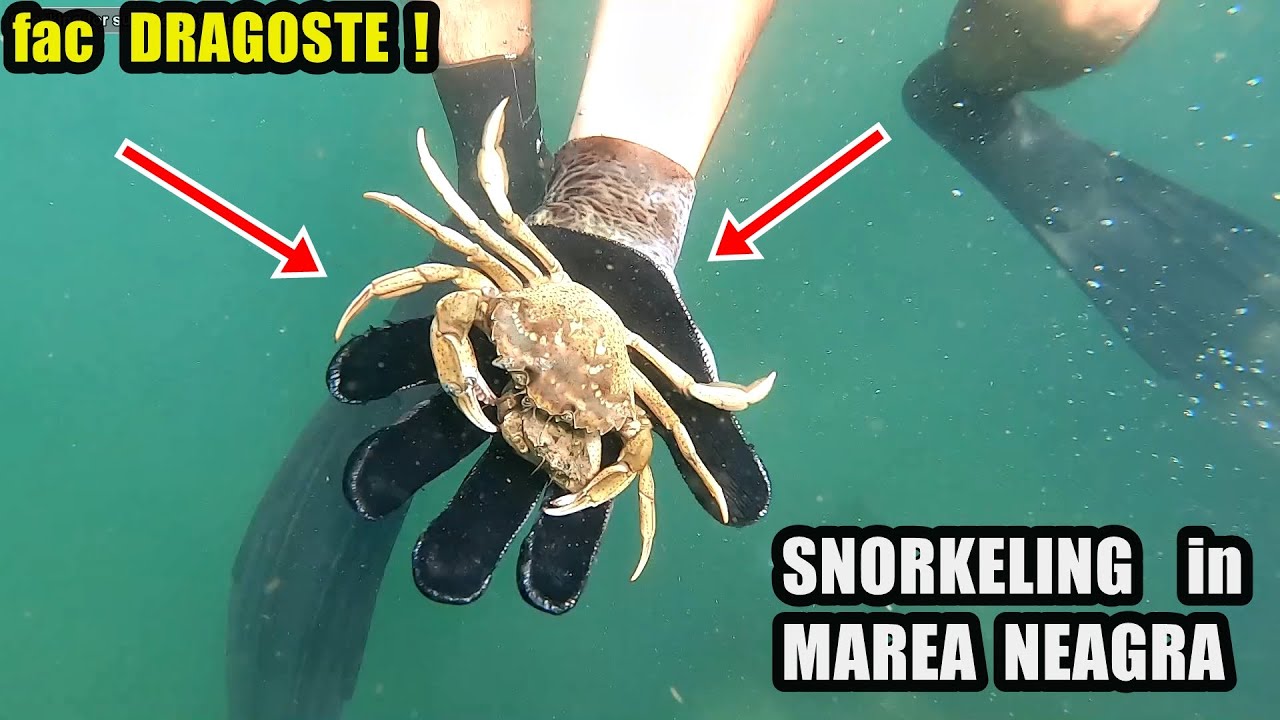 Am prins CRABII în ACȚIUNE + AC de MARE - Am făcut Snorkeling + CAIACUL ...