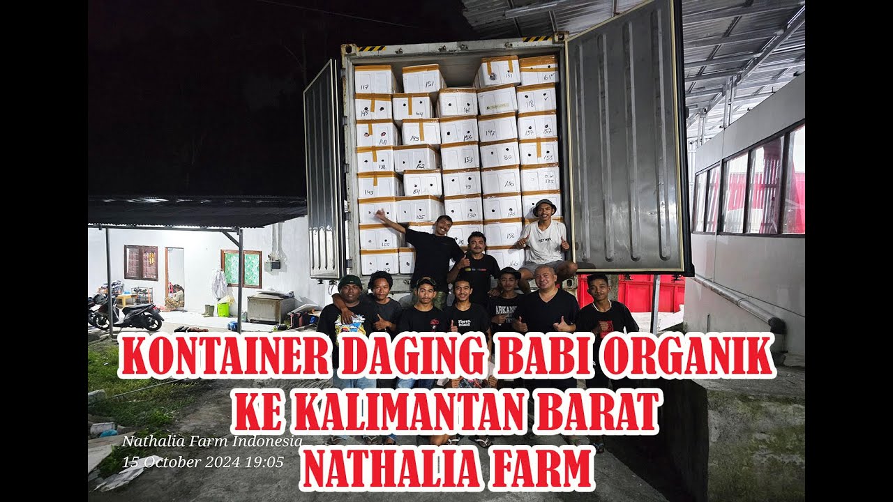 KONTAINER KALBAR DAGING BABI ORGANIK NATHALIA FARM - YouTube