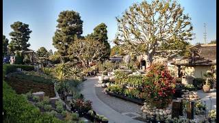 Roger’s Gardens 🌺 | California’s Most Beautiful Garden Center | Newport Beach Vibes
