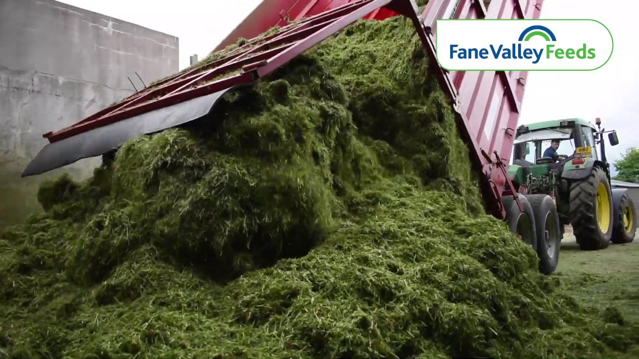 Grass Silage Additive - YouTube