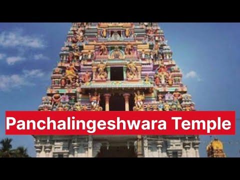 Shivarathri Pooja|| Panjalinkeshwara Temple|Nageswara temple, Begur ...