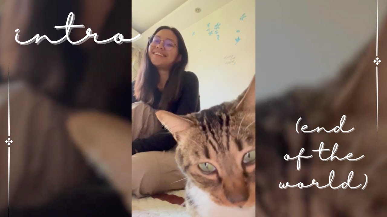 intro (end of the world) | cover by joey tan - YouTube