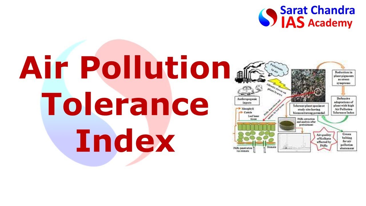 Air Pollution Tolerance Index | UPSC | All Competitive Exams #shorts ...