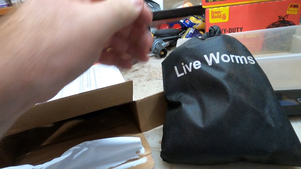 Unboxing worms from Uncle Jim's Worm Farm - YouTube