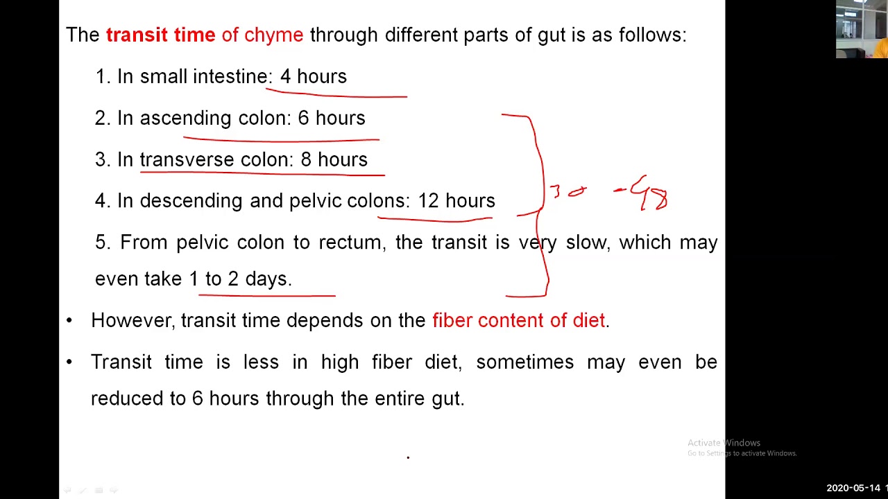 introduction of large intestine motility - YouTube