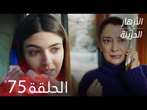 الأزهار الحزينة | الحلقة 75 كاملة | Kırgın Çiçekler