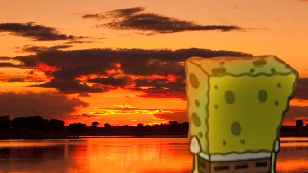 YTP - SpingeBill Finds His Purpose - YouTube