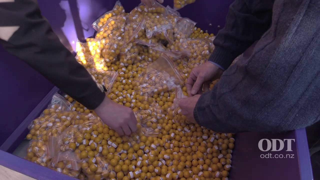 2016 Dunedin Jaffa Race - YouTube