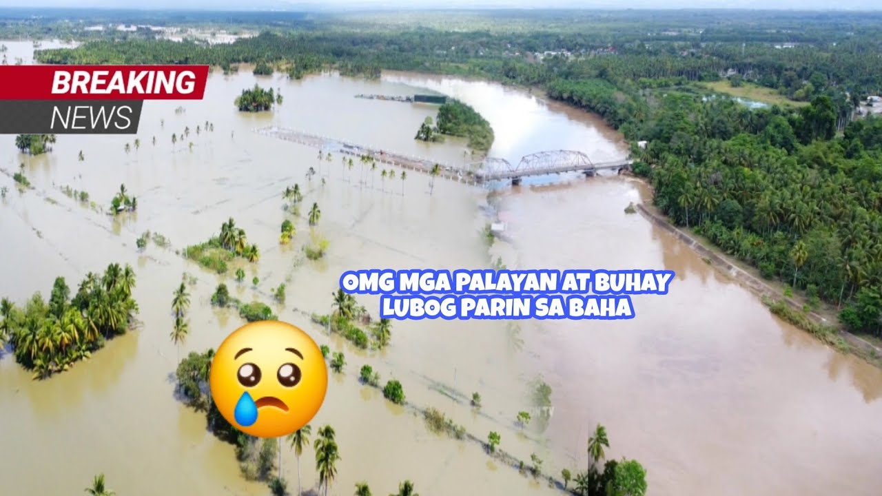 FLOOD, MGA BAHAY AT PALAYAN LUBOG PARIN SA BAHA, CARMEN DAVAO DEL NORTE ...
