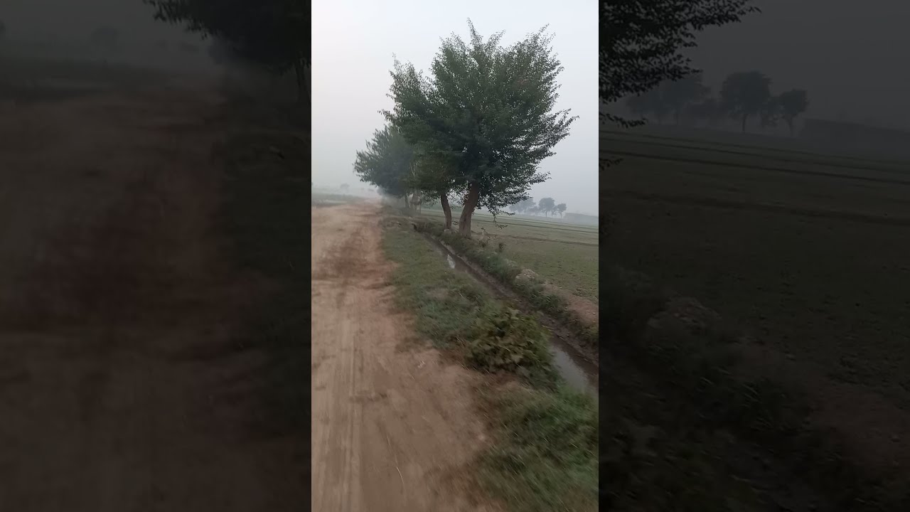 Morning Walk in village and Awesome Walk way - YouTube