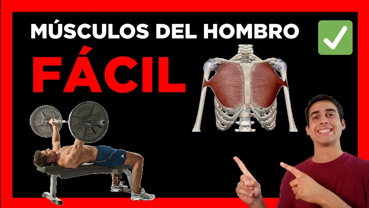 9 HOMBRO ADUCTORES Y ABDUCTORES - YouTube