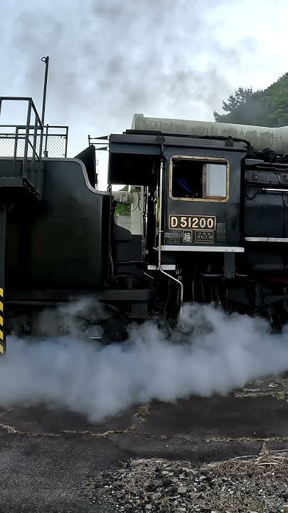 D51は生きている！ 2024.05.18 ＃やまぐち号 #津和野 #train #sl #d51 #蒸気機関車 #locomotive #鉄道 #鉄道動画 - YouTube