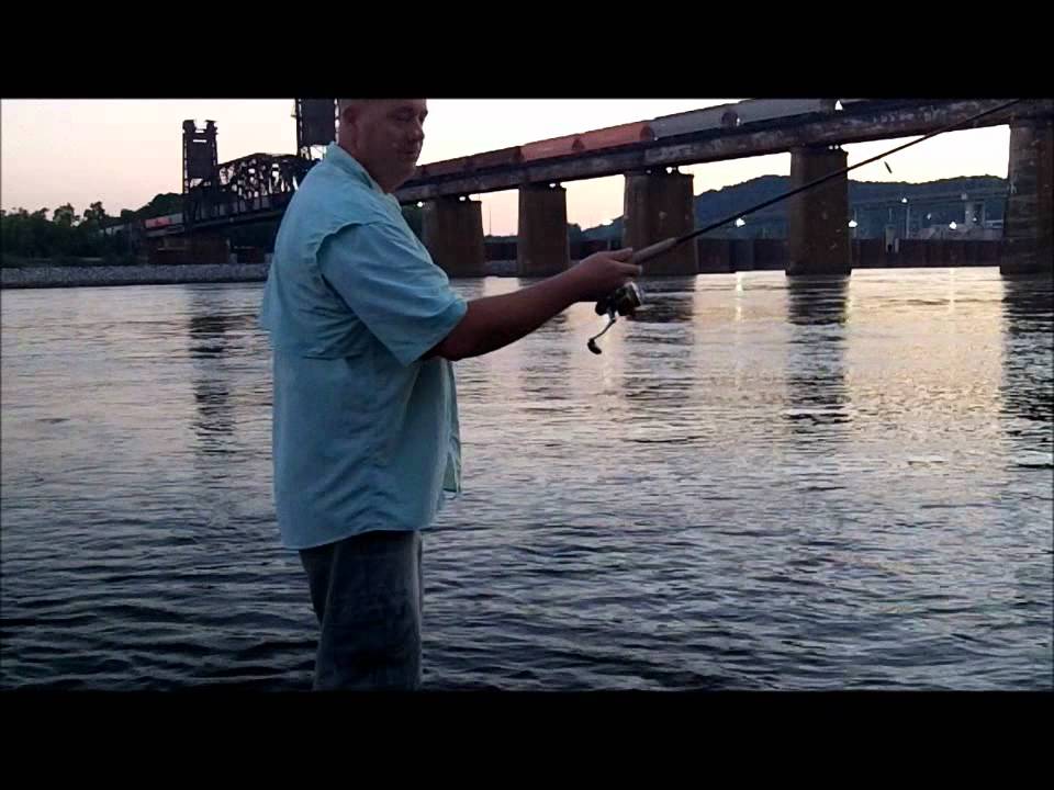 Skipjack Herring aka Tennessee Tarpon aka Catfish Candy - YouTube