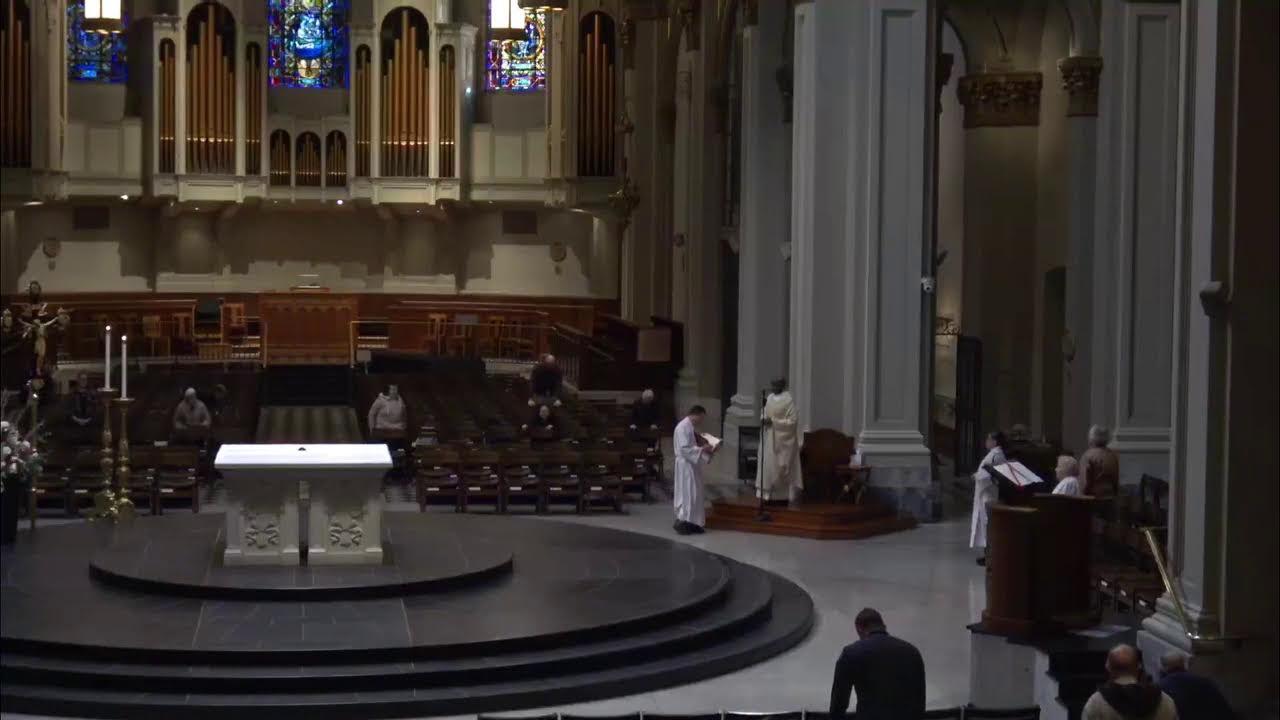Catholic Daily 8:00am Mass at St. James Cathedral, Seattle - YouTube