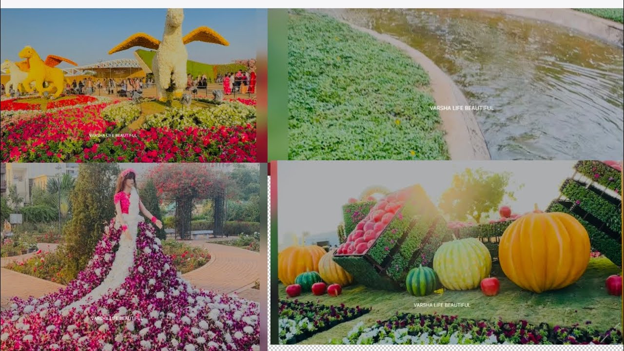 Kya he isme Flower show me 1 no ️VARSHA LIFE BEAUTIFUL 💕 - YouTube