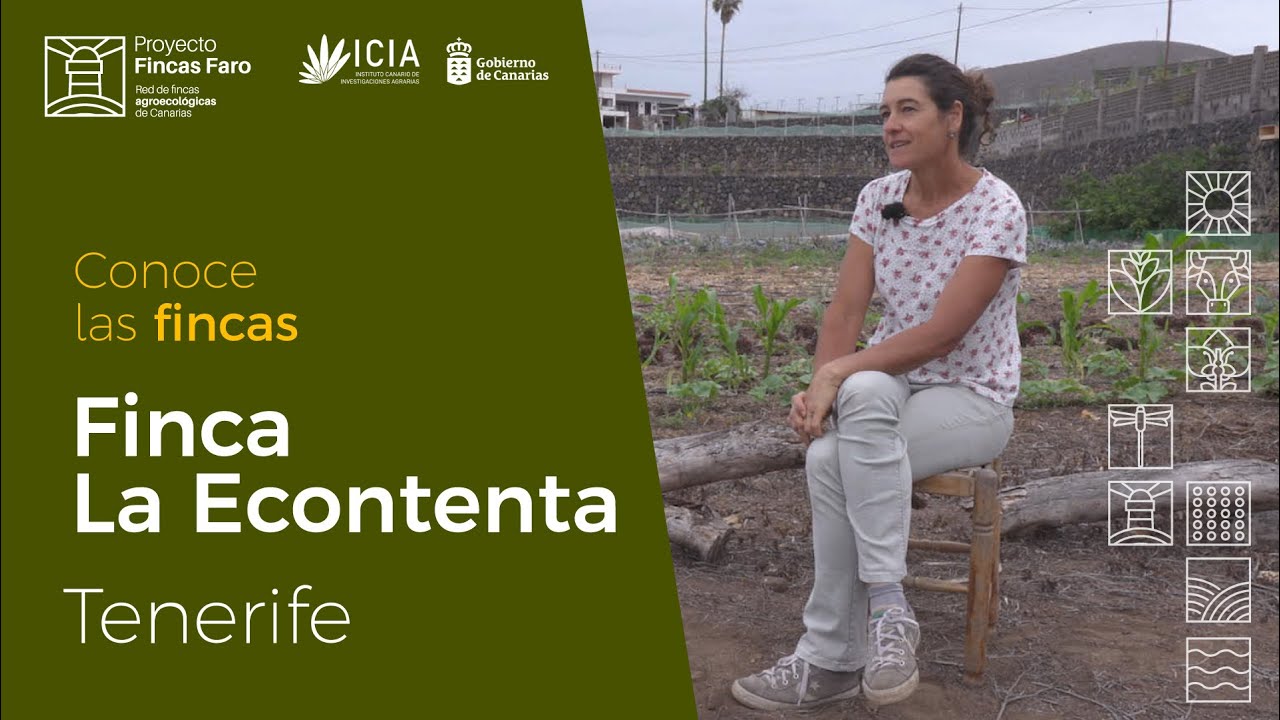 Finca La Ecotenta, Tenerife | Proyecto Fincas FARO - Red de fincas ...