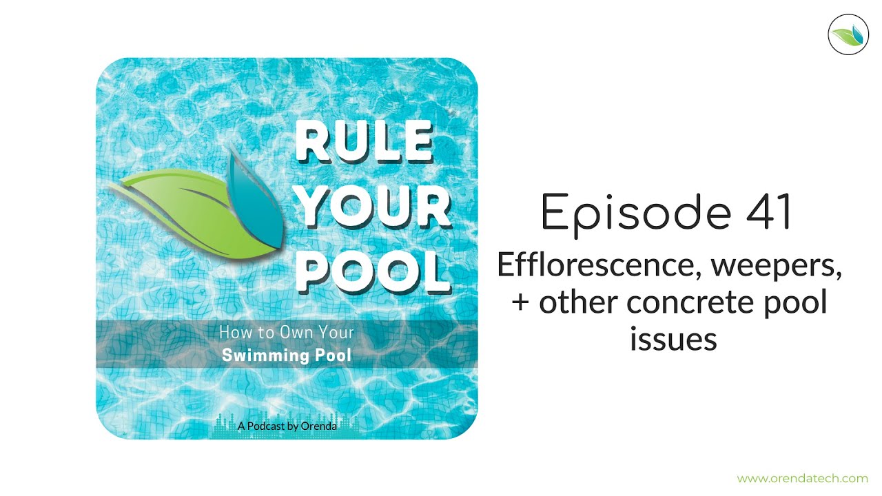 Weepers, Efflorescence and Calcium Nodules | Rule Your Pool (Episode 41 ...