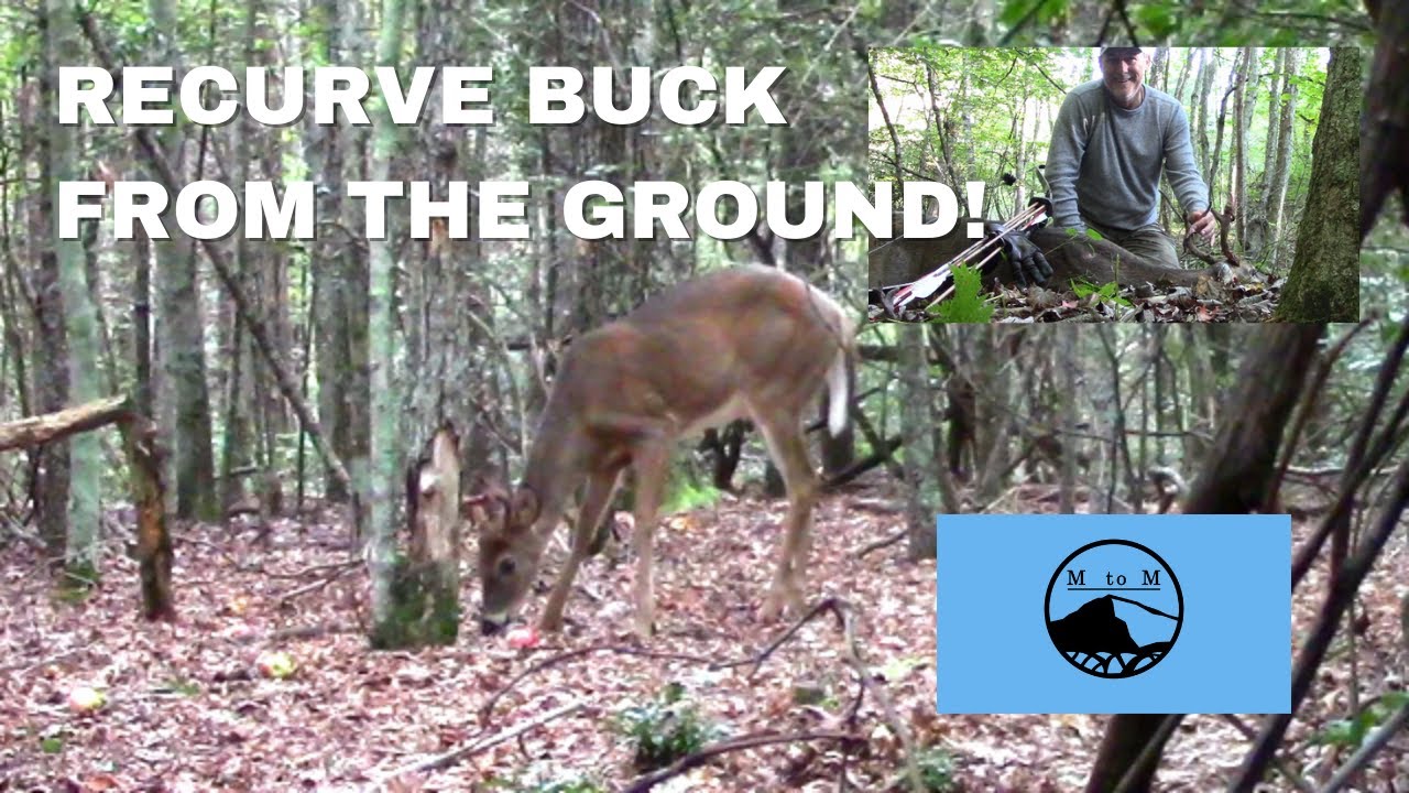 Recurve Buck Down ! Early Season Mountain Buck - YouTube