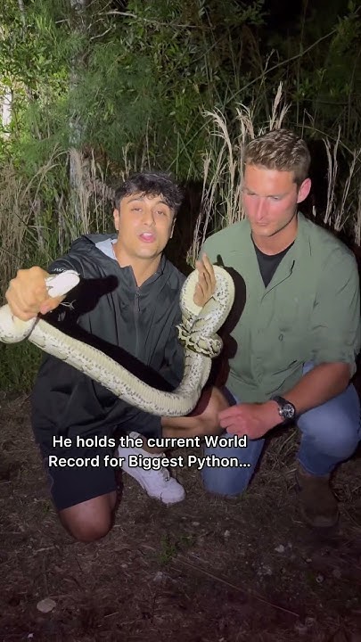 Catching A MASSIVE SNAKE - YouTube