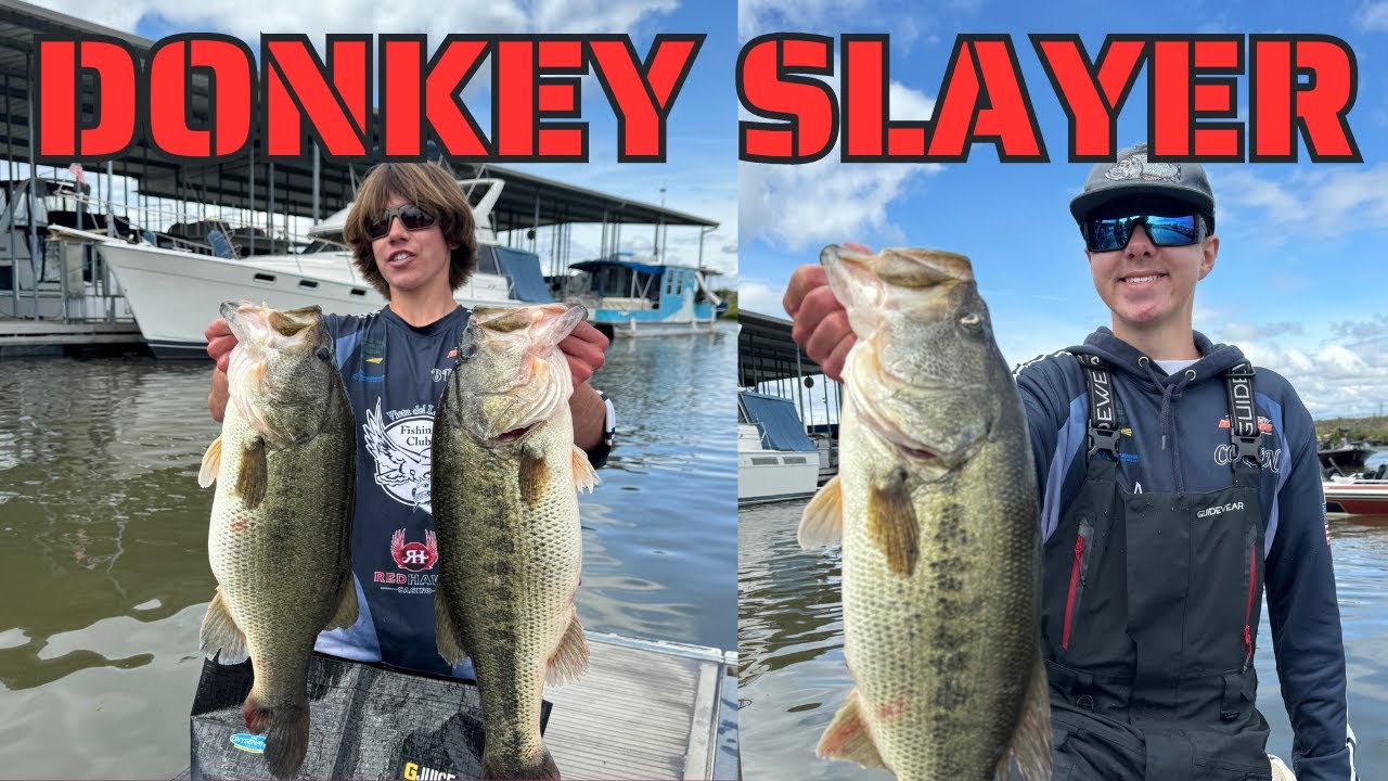 Donkey Slayer-The bait that lives up to it's name. - YouTube