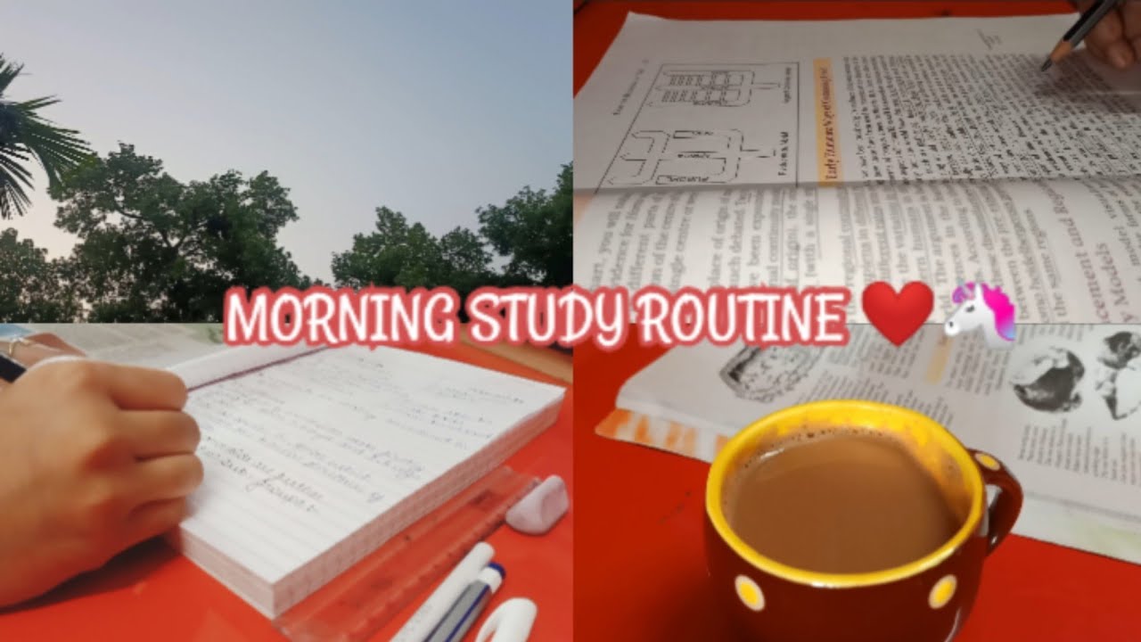 My Morning Study Vlog ️Study routine🦄#vlog #youtube - YouTube