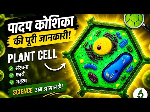 Simple and easy way to make plant cell hexagon shape model |3d ...