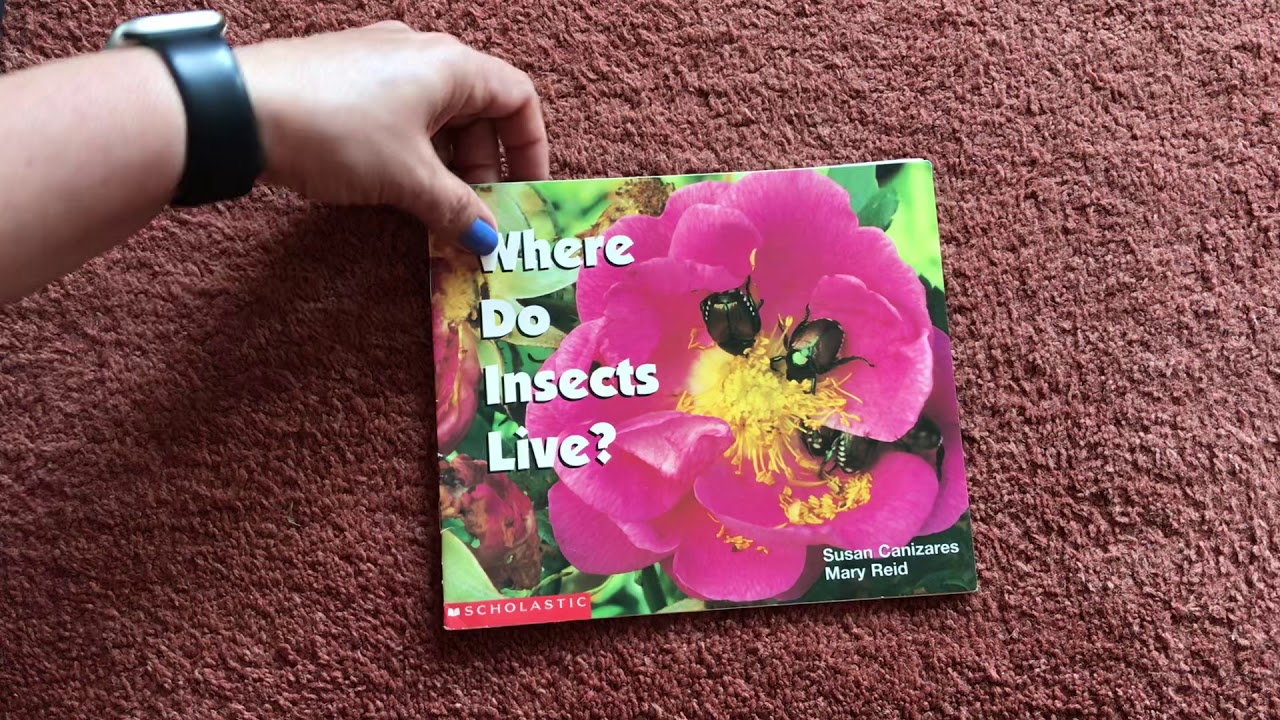 Where Do Insects Live? Going Deeper - YouTube
