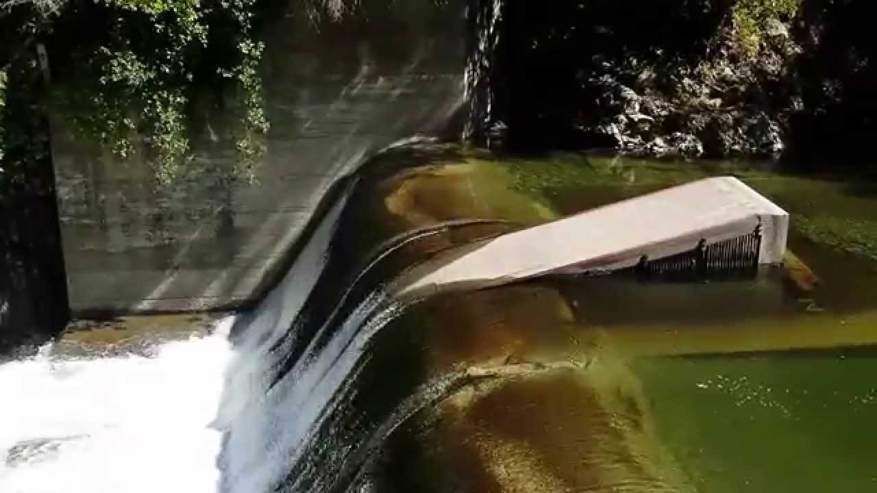 Kaitoke Regional Park, Water Intake Weir. - YouTube