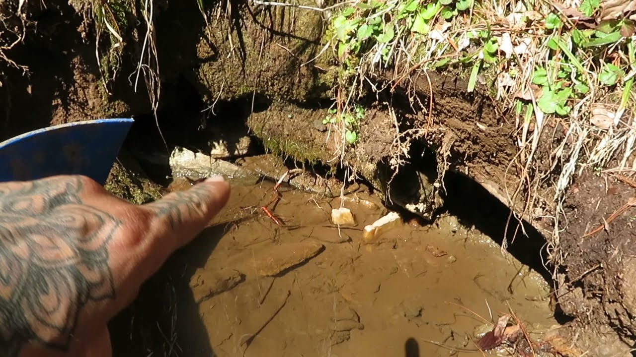Water System 2 // Spring Development 1 of 2 // FERAL RESERVE // How to ...