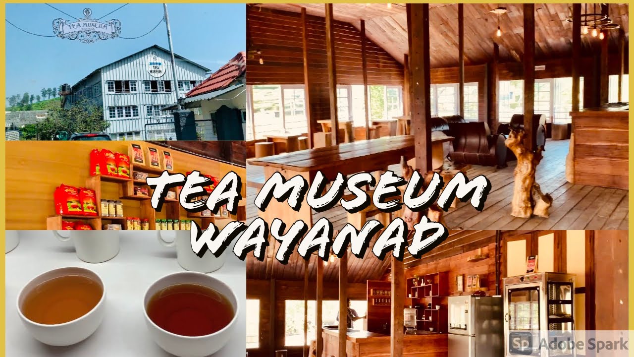 Wayanad tea museum |achoor tea museum |history of tea production - YouTube