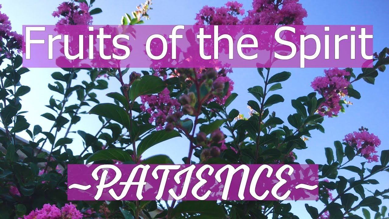 The Fruit Of The Spirit Is PATIENCE 50 Bible Verses About Patience The Fruit Of The Spirit Is PATIENCE 50 Bible Verses About Patience