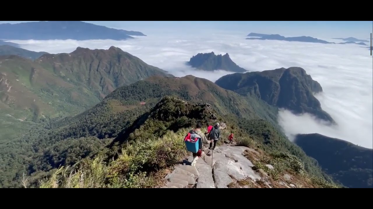 The descent from the heavenly brew lives life - YouTube