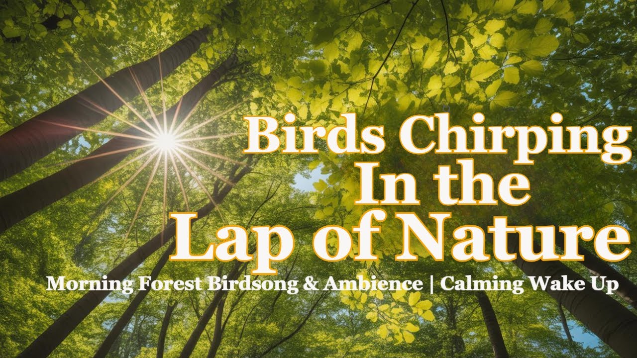 Birds Chirping in the Lap of Nature | Soothing Natural Soundscape - YouTube