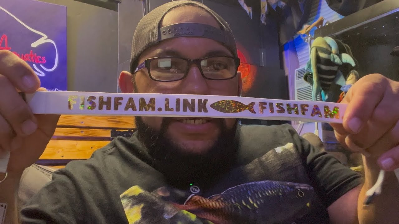 FishFam Badge!! - YouTube