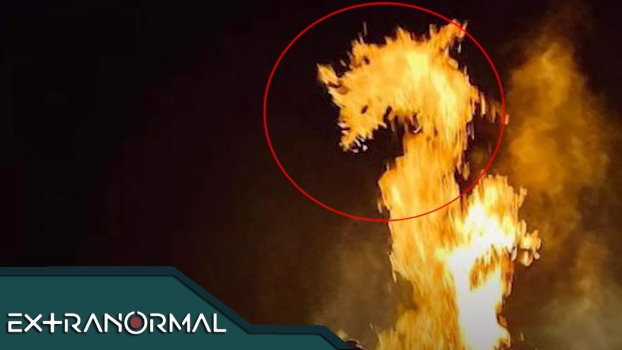 El ataque a Octavio | Extranormal - YouTube