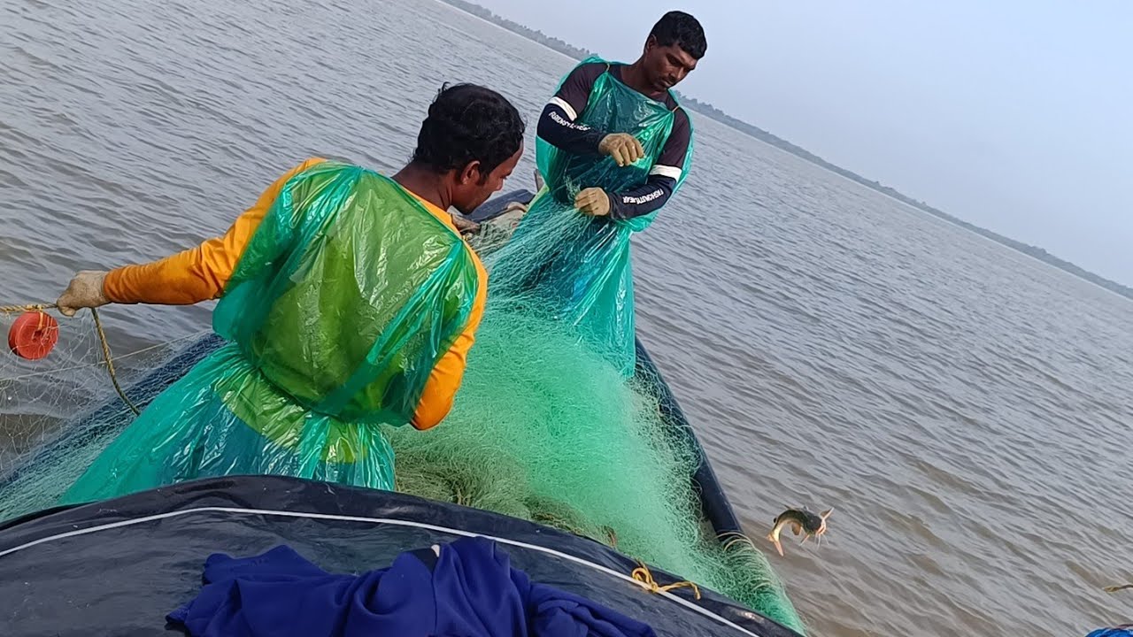 Elish fish catching video and odisha fishing - YouTube